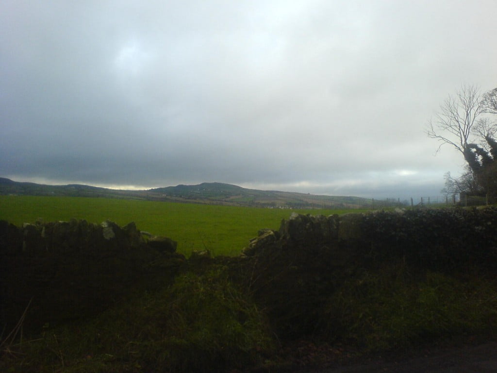 Elagh Laird’s History